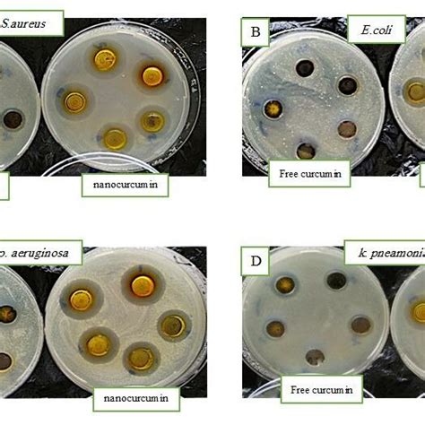 A B C And D Antibacterial Activity Of Different Concentratons Of