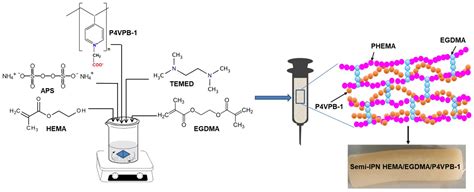 Semi Interpenetrating Polymer Networks Based On Hydroxy Ethyl