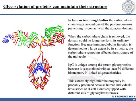 Glycosylation Pptx