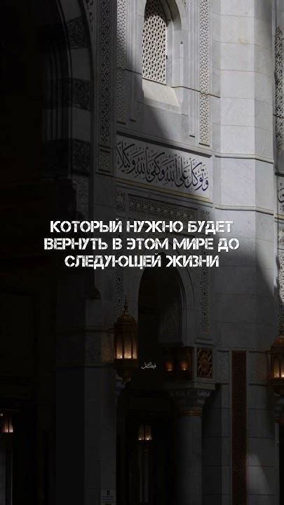 Хвала Аллаху🕋🤍 напоминание религия умма Аллах ислам знание хадис Youtube