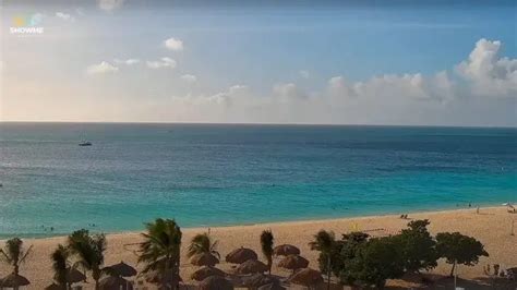 Eagle Beach Webcam Aruba 🎦