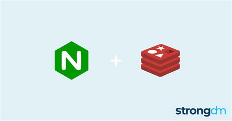 Connect Redis And NGINX StrongDM