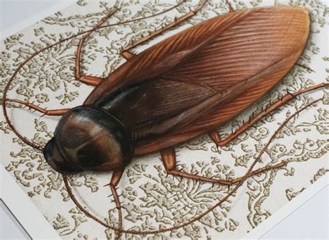 Cockroach Art Print Art Nouveau Wallpaper Home Decor Roach