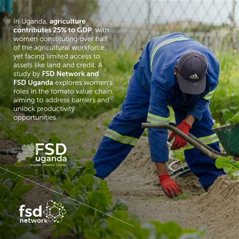 Fsd Network On Linkedin Dive Deeper Into The Latest Insights Dont Miss Out On This Must Read