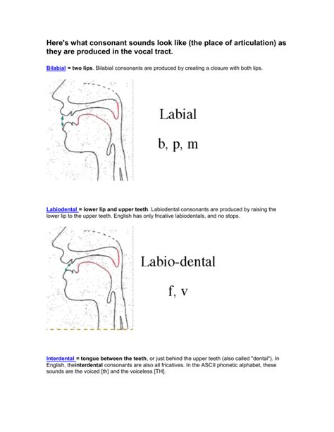 Here`s What Consonant Sounds Look Like The Place Of