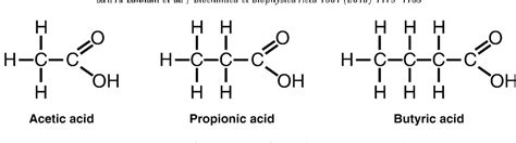 Propionic Acid