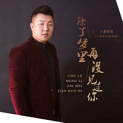 除了梦里再没见过你大拿高音质在线试听除了梦里再没见过你歌词歌曲下载酷狗音乐