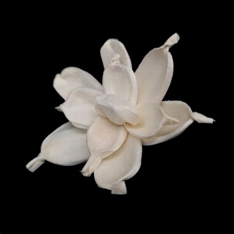 3pc Lot No Fire Aromatherapy Rattan Reed Diffusers Grandado