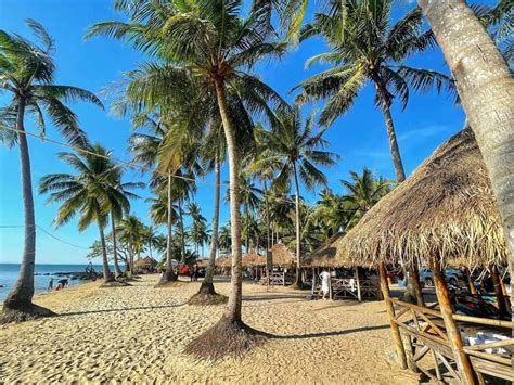 Ly Hong Ly Hong Added A New Photo