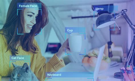 How To Choose The Right Ai Data Collection Company Shaip