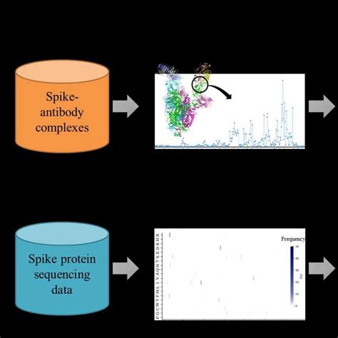 Overview Of Our Methodology A The Overall Pipeline For Predicting