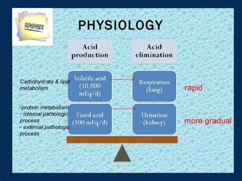 Acid Base Disorders 2 Pptx