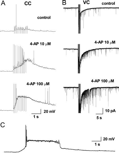 Regulation Of The Posttrain Prolonged Depolarisation Caused By