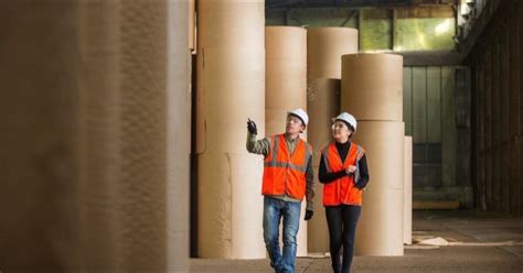 Assistance To Introduce Borresperse Paper To Your Production Borregaard