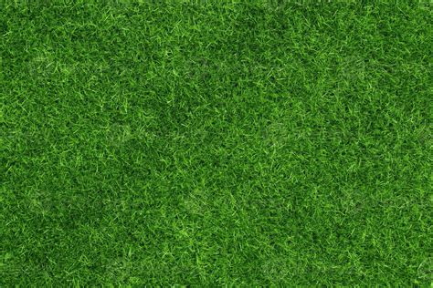 Green Grass Texture Background Grass Garden Concept Used For Making