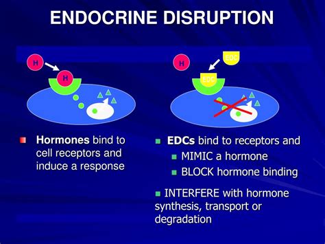 Endocrine Disrupting Chemicals