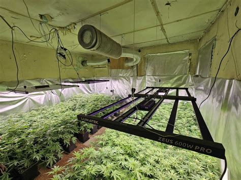 Разкриха модерна оранжерия за марихуана до Пазарджик двама са в ареста Информационна агенция ПИК