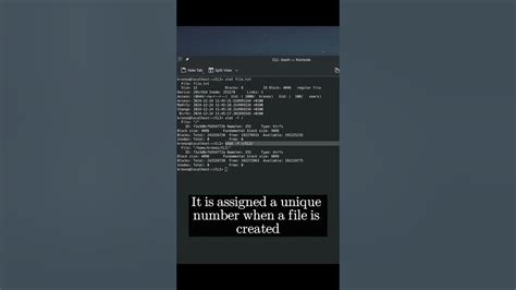 🐧 Linux Cli 37b 🐧 Inodes 🐧 Linux Shell Cli Konsole Ubuntu Fedora Opensuse Youtube