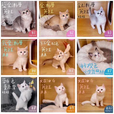 有吉寵物 有吉寵物 Added A New Photo — At 有吉寵物