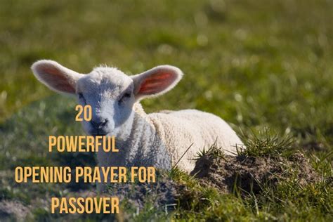 20 Powerful Opening Prayer For Passover Bible Verses Of The Day