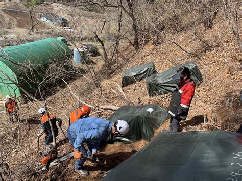 북구 소나무재선충병 확산 방지 총력 대응 시사인 투데이