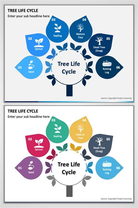 Tree Life Cycle PowerPoint And Google Slides Template Tree Life Cycle Life Cycles Powerpoint