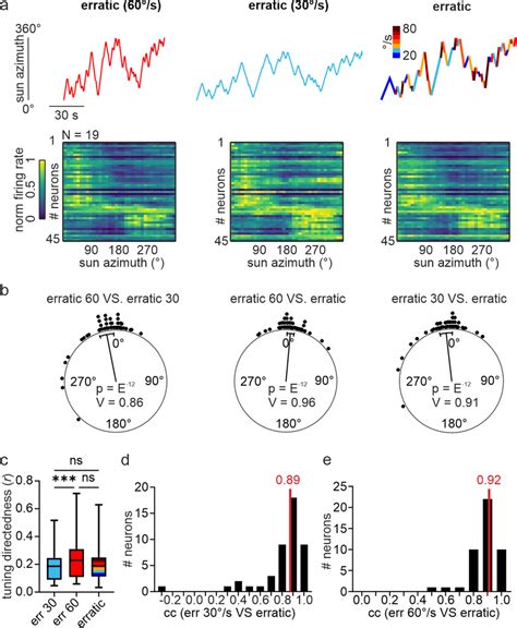 influence of angular velocity on directional coding aupper plots