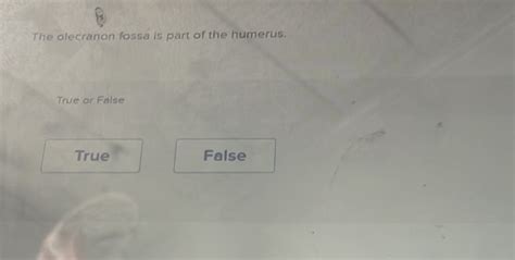The Olecranon Fossa Is Part Of The Humerus True Or False True False Question Ai