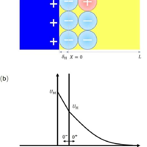 A Schematic Illustration Of The Gcs Double Layer Model The Solvation Download Scientific