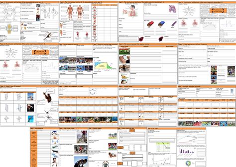 Gcse Pe Aqa 9 1 Complete Paper 1 Knowledge Retrieval Revision Mats Teaching Resources