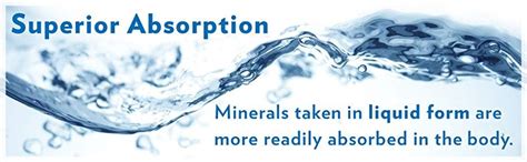 Bodybio Liquid Selenium For Immune Support Heart And Thyroid Health High