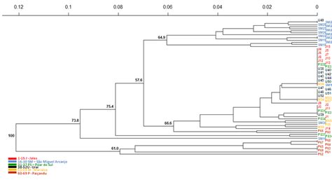 dendrogram generated by jaccard coefficient from analysis of individual