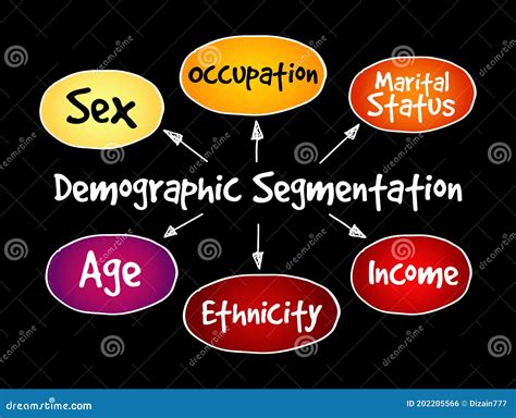 Demographic Segmentation Mind Map Flowchart Stock Illustration