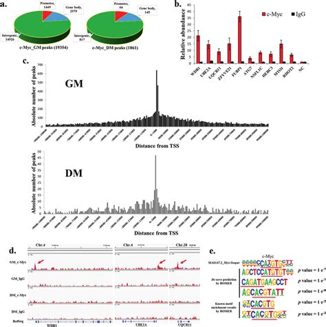 Genome Wide Mapping Of C Myc Binding During Myoblast Differentiation By Download Scientific