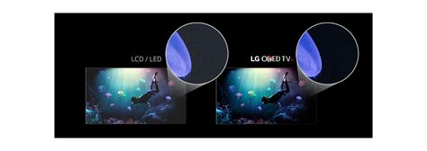 OLED Vs LED TV Displays LG USA
