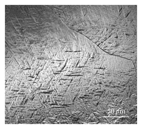 Microstructure Evolution Of Specimens At Different Cooling Rates