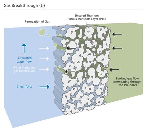Exposing How Gas Transport Occurs In Porous Transport Layers And How It Affects The Performance