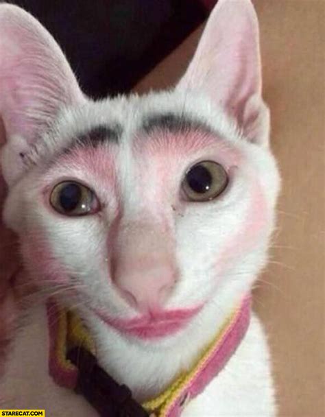 Cat With Makeup Mugeek Vidalondon