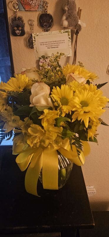 Gabapentin Compounded Tablet 50 Mg Easy Refills Chewy Rx