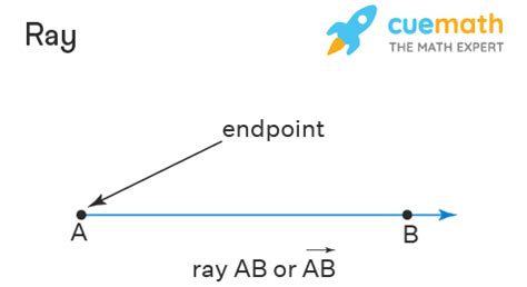 Segment Bisector Definition Types Perpendicular Bisector Examples Segment Bisector Definition Types Perpendicular Bisector Examples