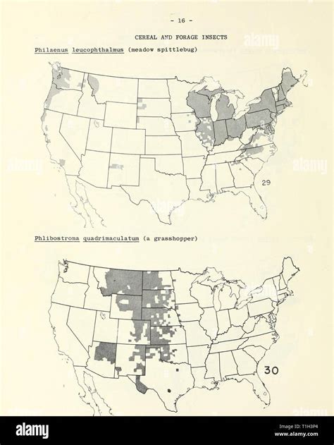 Distribution Maps Of Some Insect Distribution Maps Of Some Insect Pests