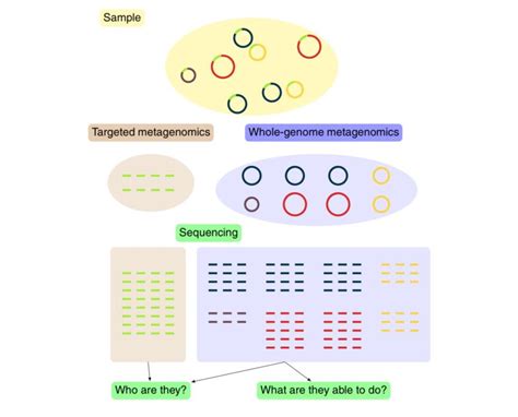Selvi Ergİn Auf Linkedin Metagenomics Organism Bioinformatics