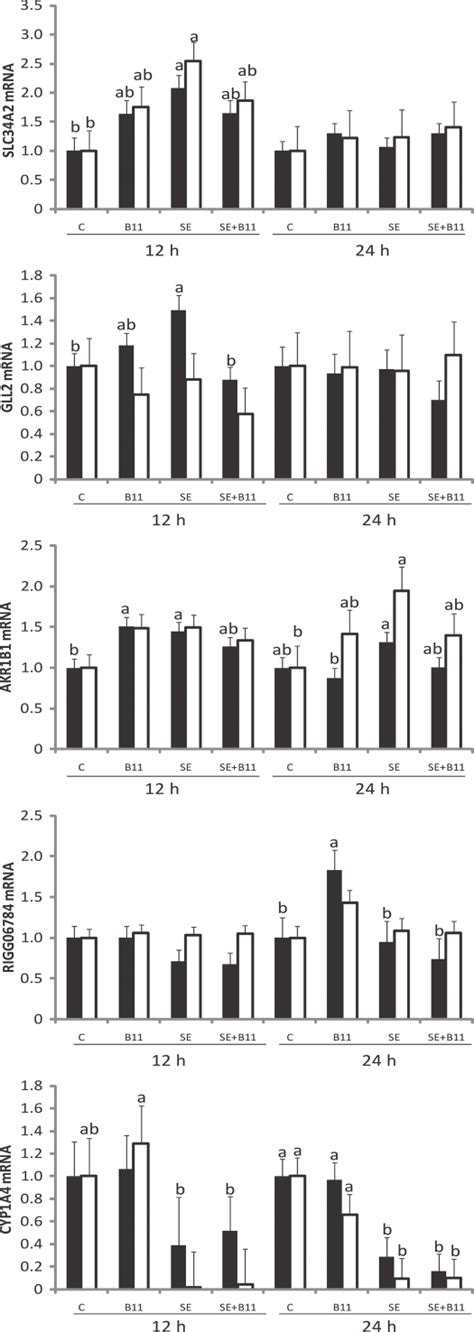 Relative Levels Of Mrna Expression By Microarray And Quantitative Download Scientific Diagram