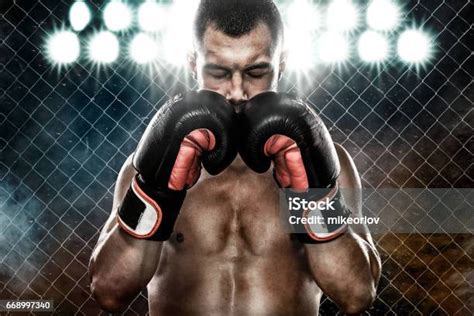 권투 케이지에서 완벽한 승리를 축하하는 스포츠맨 무에타이 복서 조명과 연기와 배경입니다 공간을 복사합니다 스포츠 개념입니다 건강한 생활방식에 대한 스톡 사진 및 기타 이미지