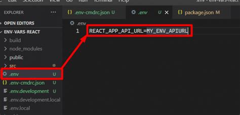 Reactjs Variables De Entorno The Lost Reference