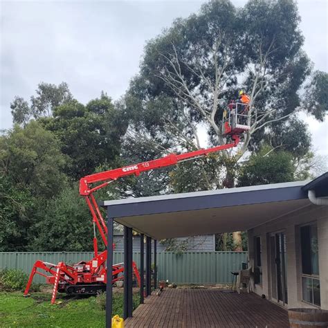 Tree Risk Assessment In Ballarat Rapid Tree Solutions