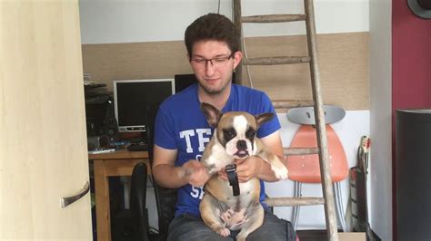 Crash Tutorial Youtube