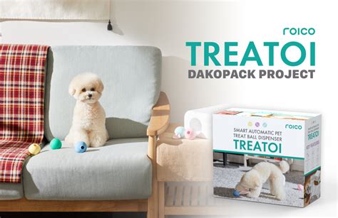 로이코 트릿토이 박스 디자인 및 제작 프로젝트