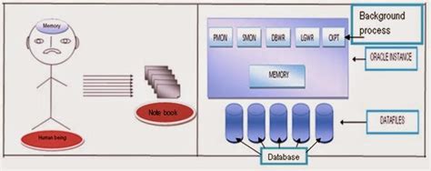 What Is Oracle Server