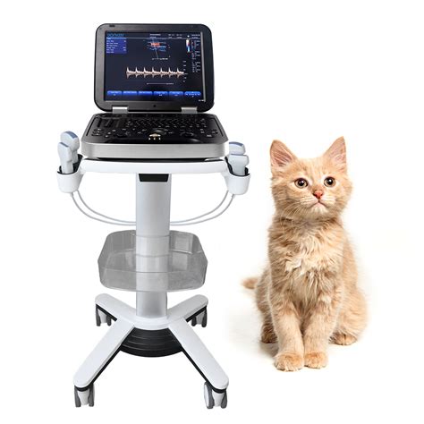 초음파 기계 공급업체 및 공장 중국 초음파 기계 제조업체